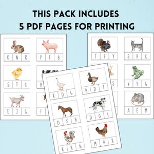 Initial Sound Clip Cards, Farm Animal Flashcards and Poster, Preschool ...