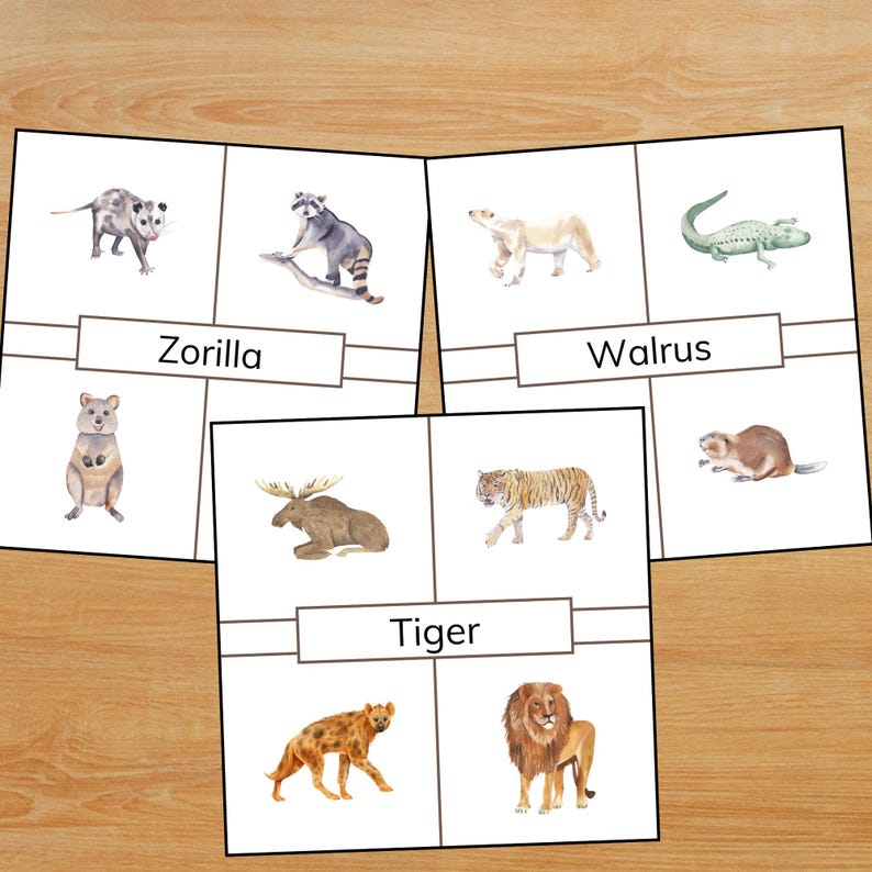 Animal Identification Cards - Printable Clip Cards for Preschool ...