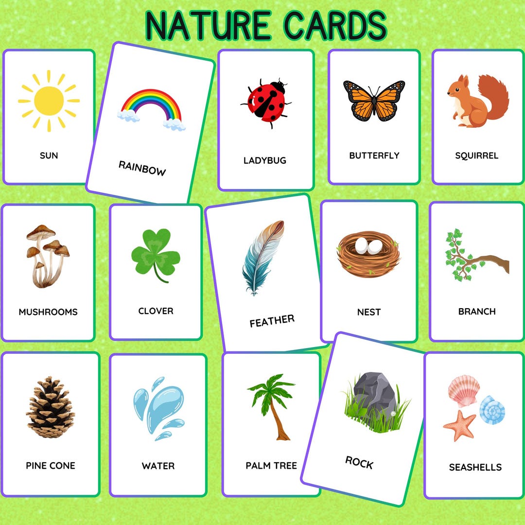 Printable Outdoor Learning Flashcards: Nature Study Cards for Kids - Etsy