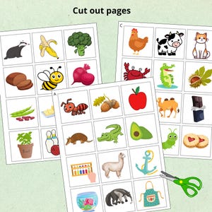 Phonics Picture Match Task Cards, Beginning Sounds Matching Activity ...