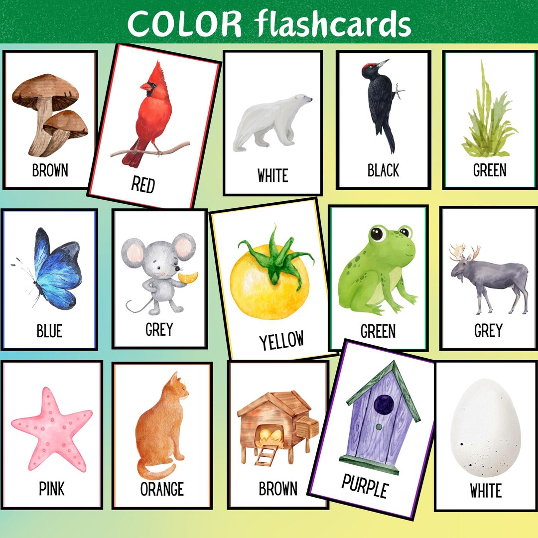 Educational Colors Cards Flashcards for Color Recognition & Fun ...