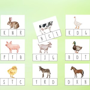 Initial Sound Clip Cards, Farm Animal Flashcards and Poster, Preschool ...
