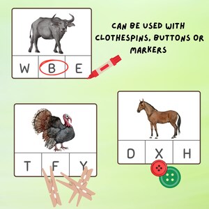 Phonics Clip Cards – Farm Animal Beginning Sounds | Alphabet Activity ...