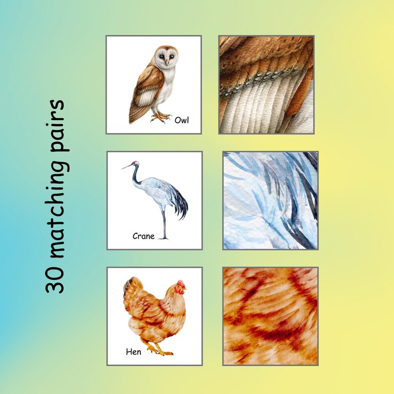 Bird Matching Card Set for Children PDF - Etsy