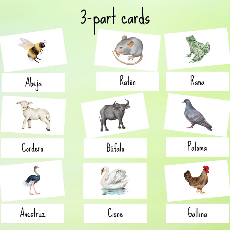 Animals Flashcards, Learn Farm Animals in Spanish-3-part Cards and ...