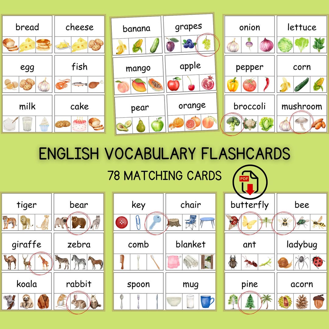 English Language Learning Flashcards | Montessori-inspired Vocabulary ...
