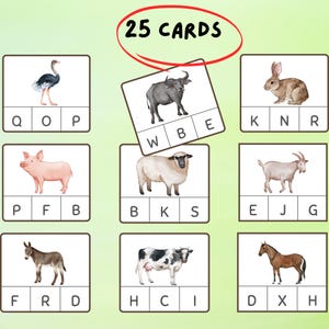 Phonics Clip Cards – Farm Animal Beginning Sounds | Alphabet Activity ...