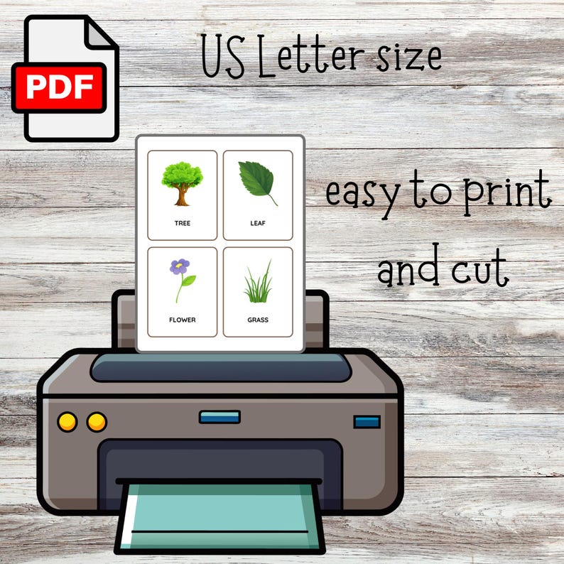 Printable Outdoor Learning Flashcards: Nature Study Cards for Kids - Etsy