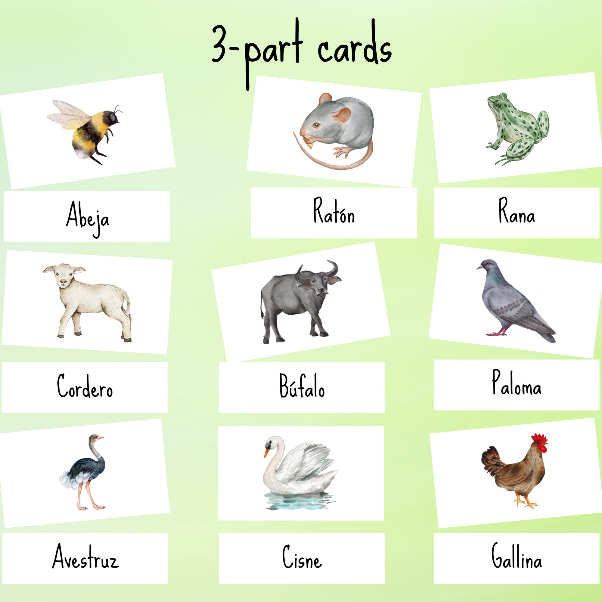 Montessori Animals Flashcards Bundle - Spanish Farm Animal 3-part Cards ...