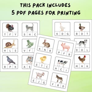 Phonics Clip Cards – Farm Animal Beginning Sounds | Alphabet Activity ...