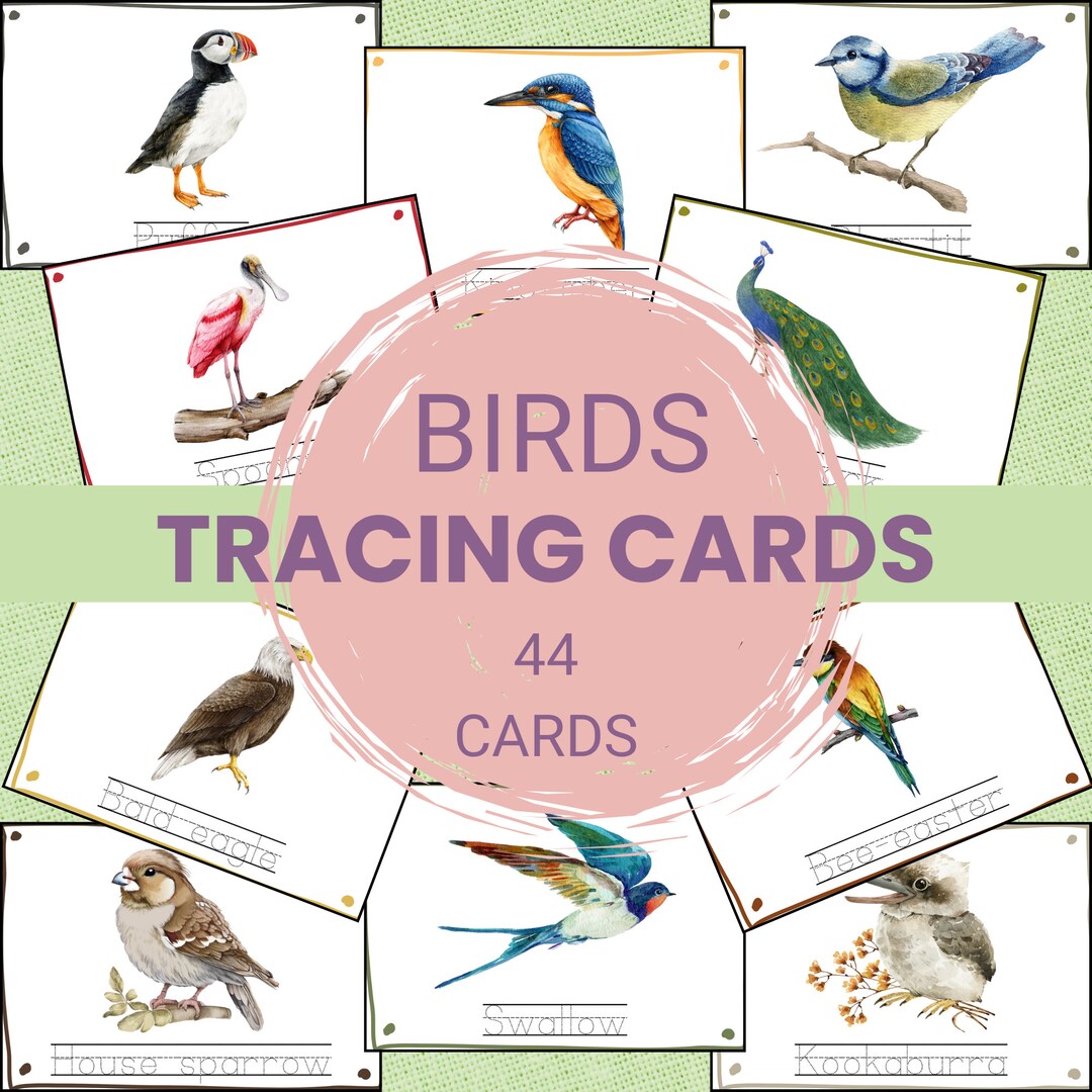 44 Printable Trace the Words Bird Cards - Kindergarten Sight Word ...