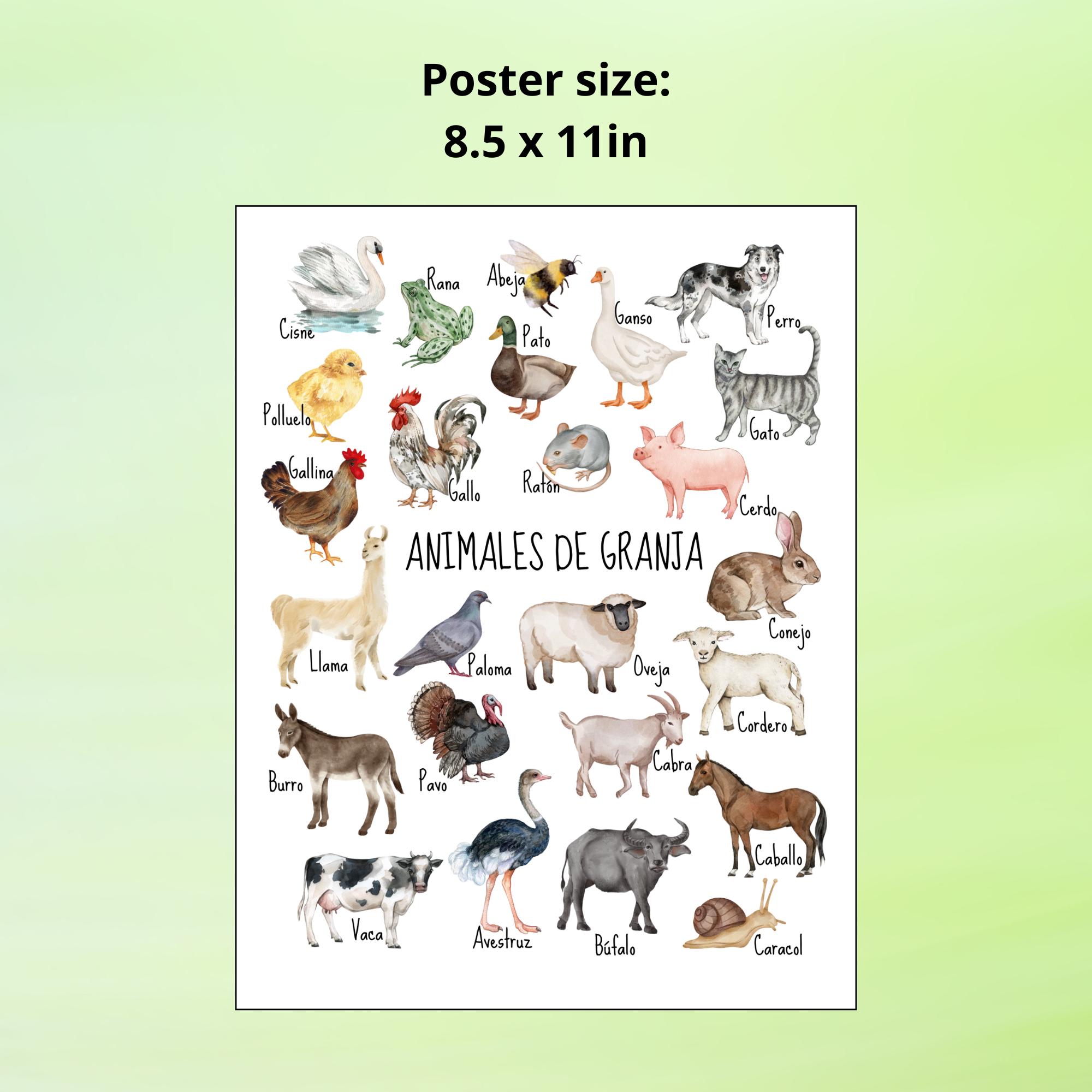 Spanish Phonics Clip Cards | Printable Farm Animal Beginning Sound ...