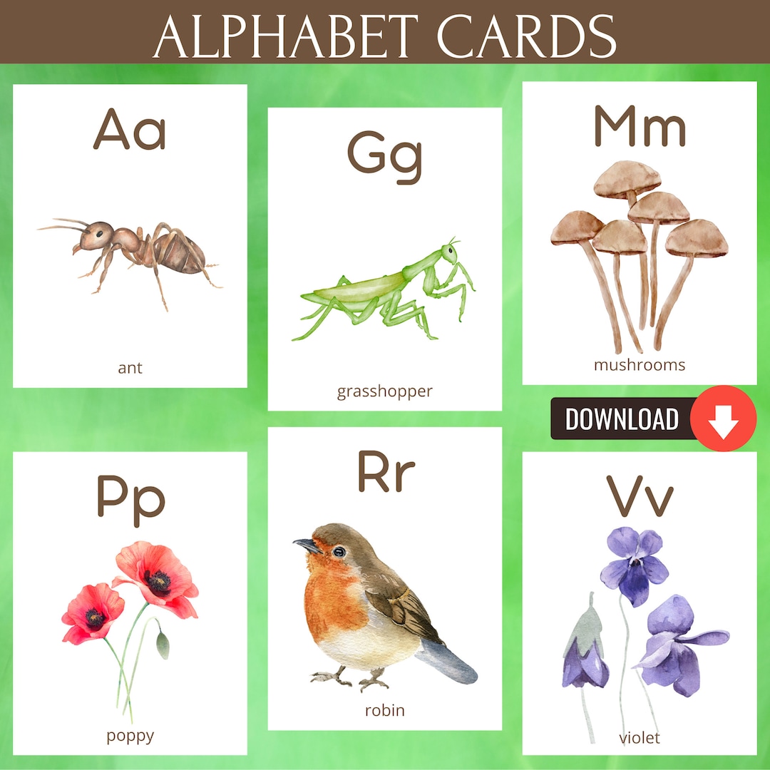 Forest Alphabet Printable Flash Cards, English Learning Resource ...