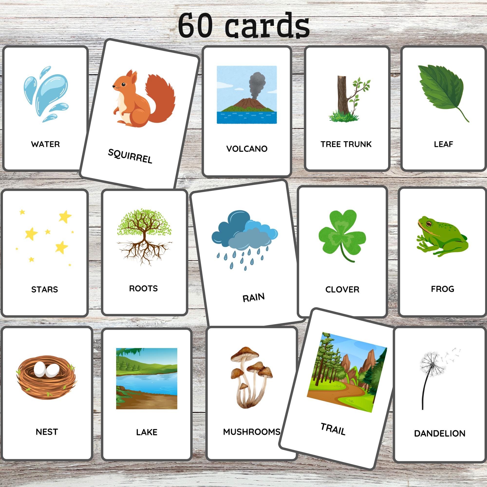 Printable Outdoor Learning Flashcards: Nature Study Cards for Kids - Etsy