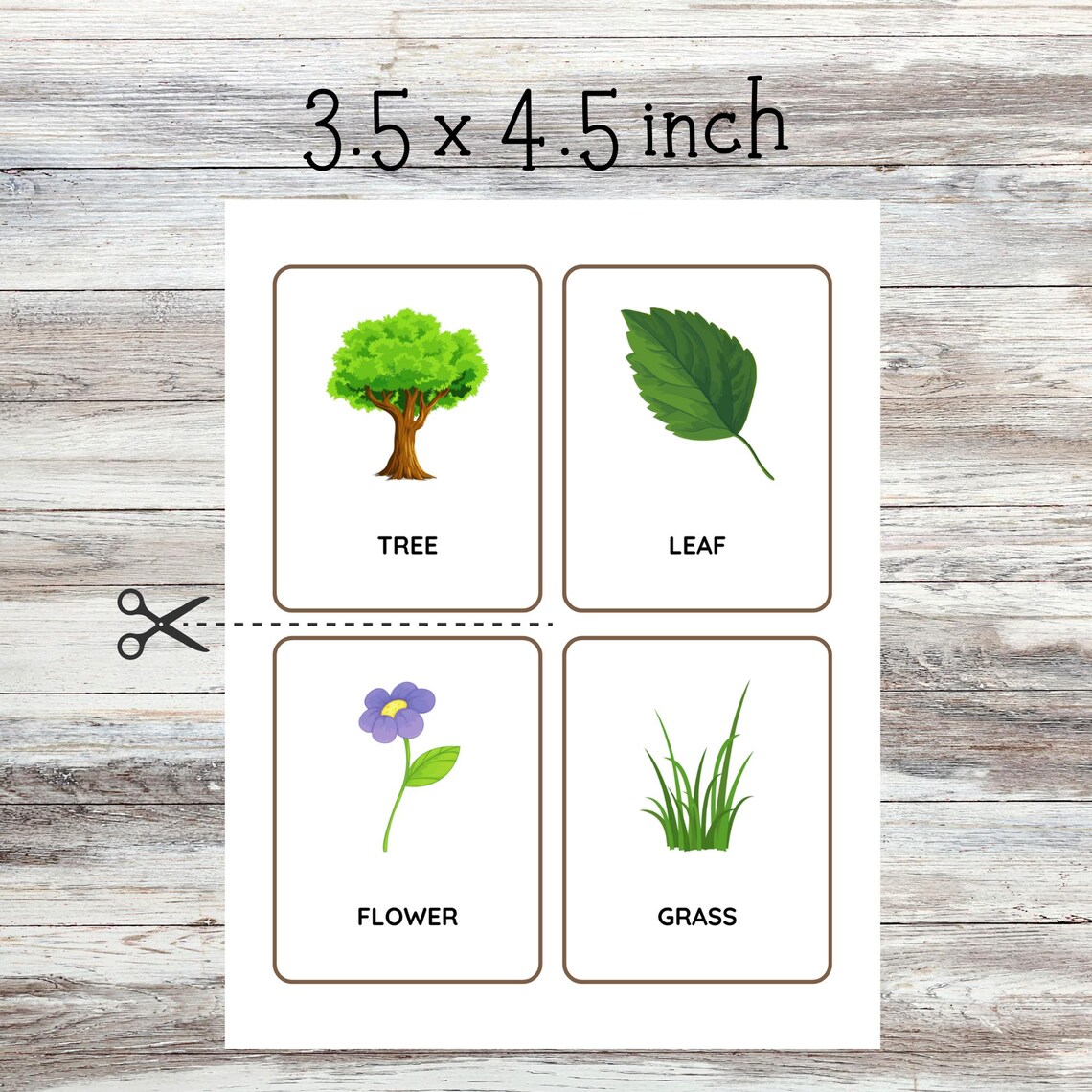 Printable Outdoor Learning Flashcards: Nature Study Cards for Kids - Etsy
