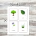 Printable Outdoor Learning Flashcards: Nature Study Cards for Kids - Etsy