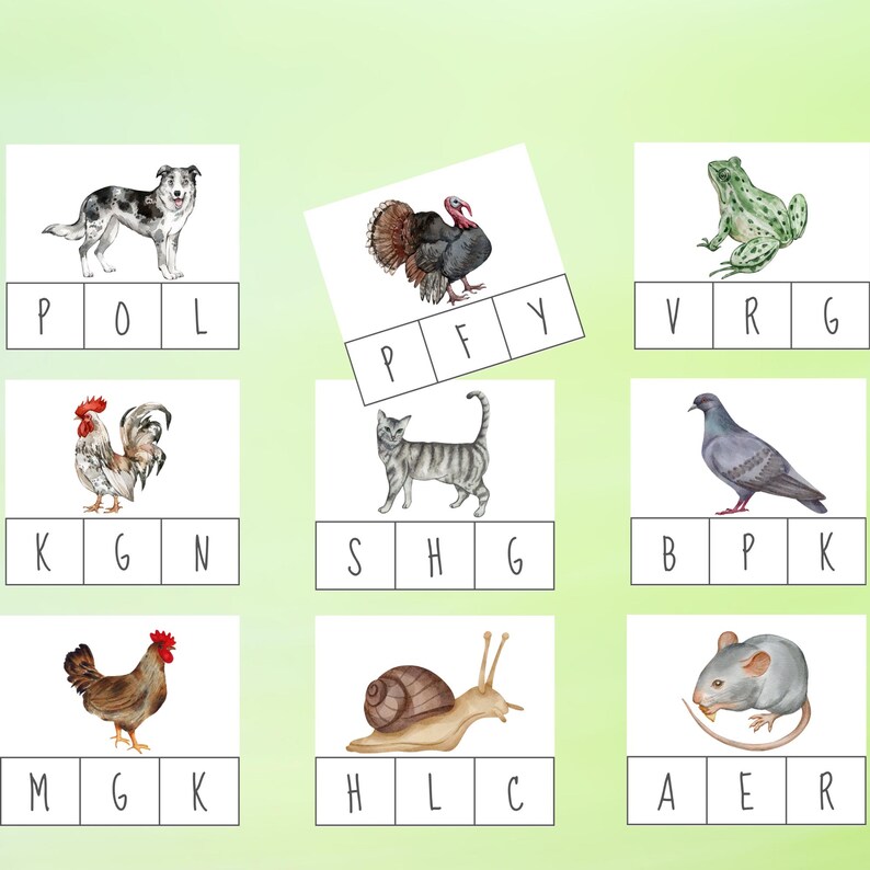 Spanish Phonics Clip Cards | Printable Farm Animal Beginning Sound ...