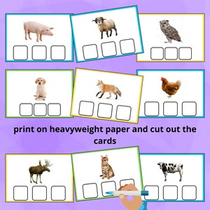 Printable Animal Flashcards | Letter Recognition Activity Set ...