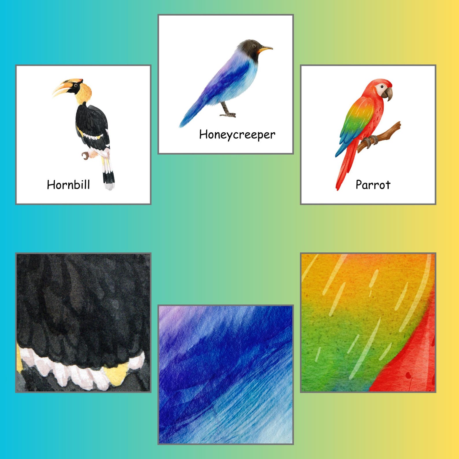 Bird Matching Card Set for Children PDF - Etsy