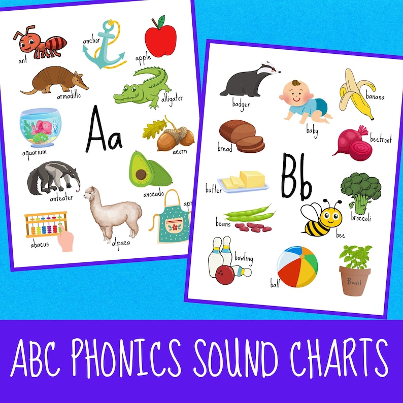 Phonics Anchor Charts for Preschool | Letter Sound Reference Cards ...