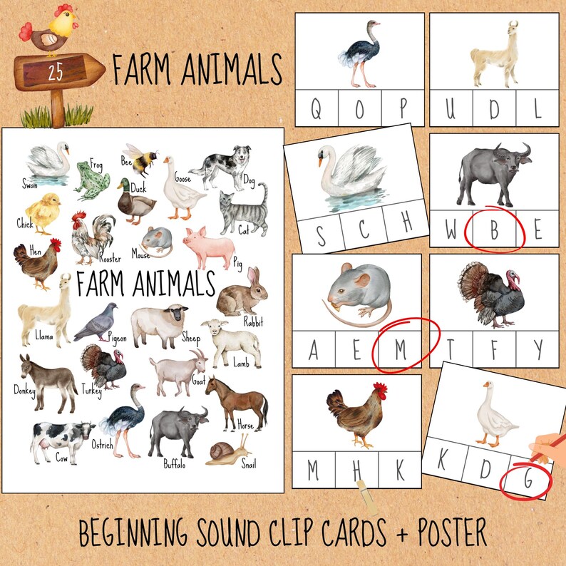 Initial Sound Clip Cards, Farm Animal Flashcards and Poster, Preschool ...