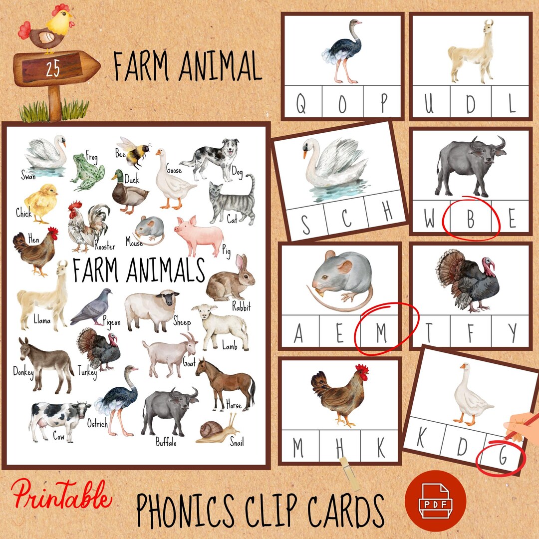 Farm Animal Beginning Sounds Cards | Phonics Clip Cards PDF | Preschool ...