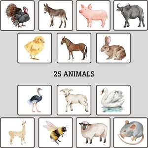 Farm Animal Memory Card Game | Preschool Activities | Toddler Learning ...