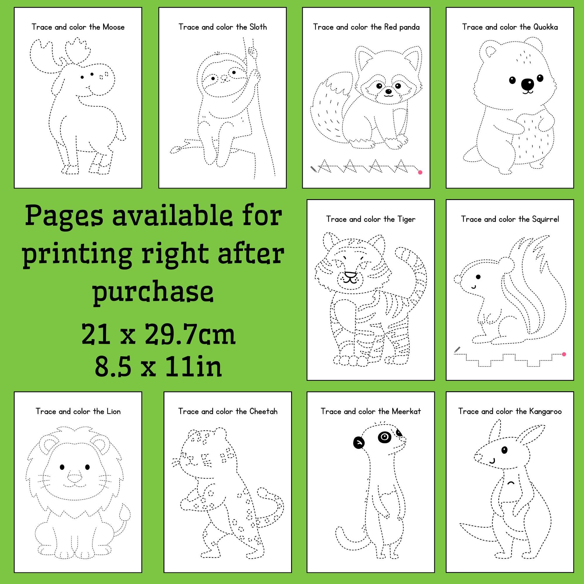 Animal Tracing & Coloring Pages | 60 Printable Worksheets With Line ...