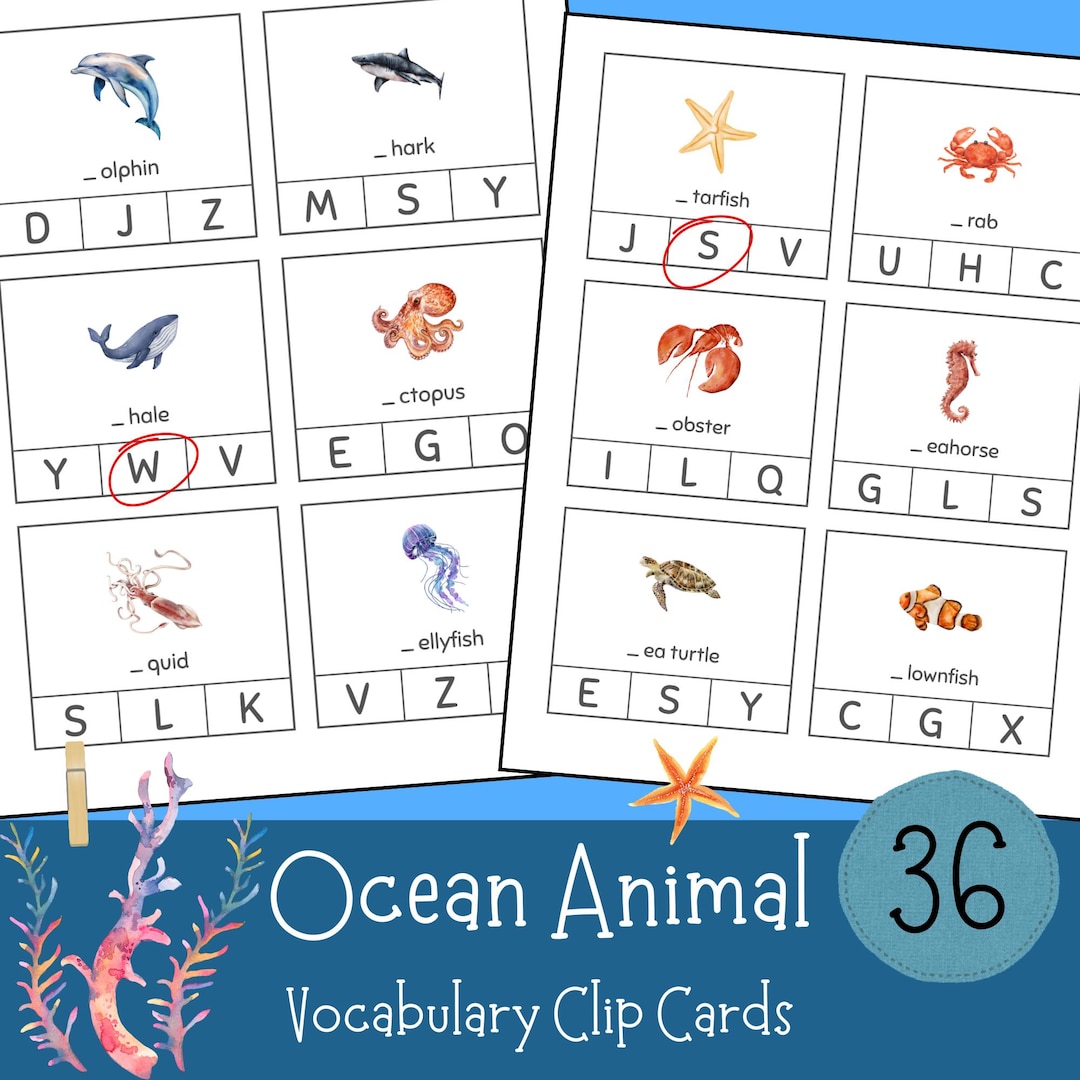 Marine Life Clip Cards | Ocean Animal Vocabulary Building Kids Activity ...