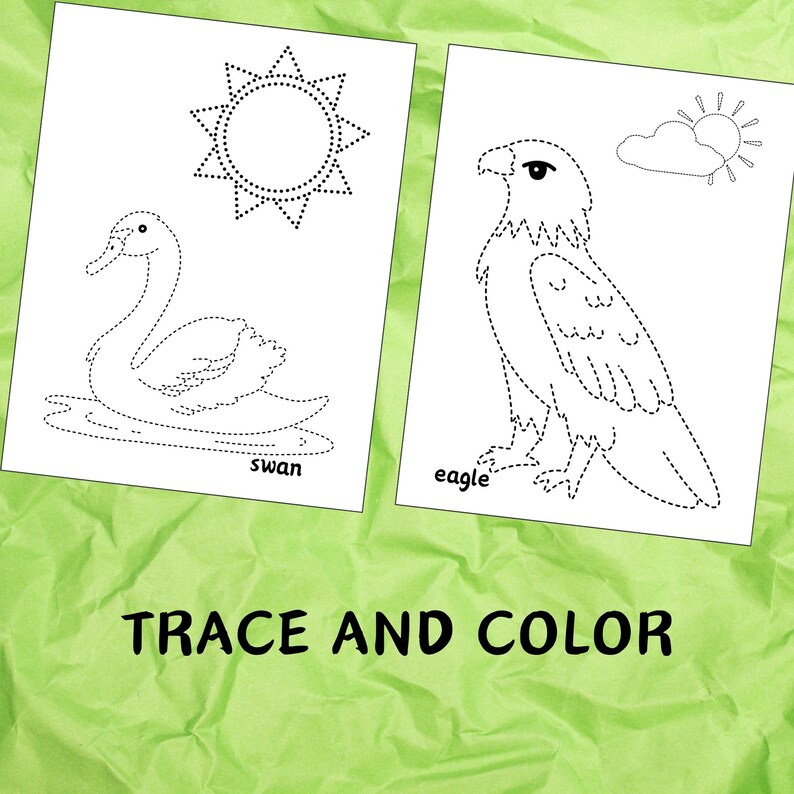 Birds Tracing Printable Toddler Busy Book, Trace the Line, Montessori ...