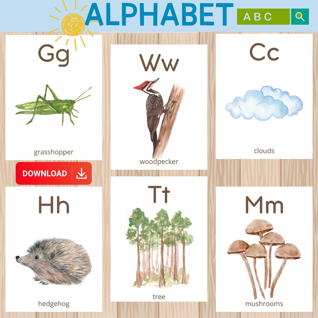 Nature Flashcards: ABC Alphabet Cards & Montessori Homeschool Nature ...