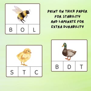 Phonics Clip Cards – Farm Animal Beginning Sounds | Alphabet Activity ...