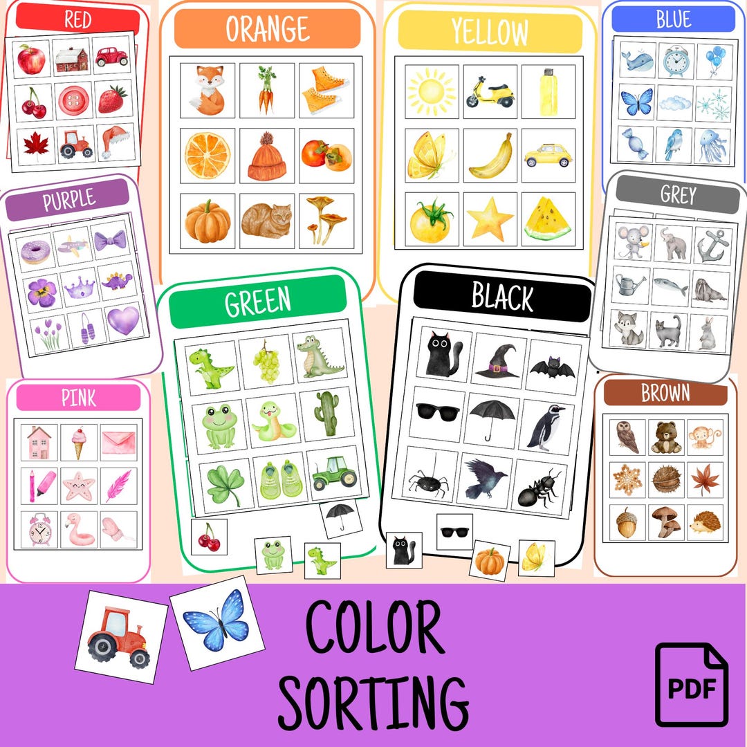 Educational Color Sorting Game for Toddlers and Preschoolers - Etsy