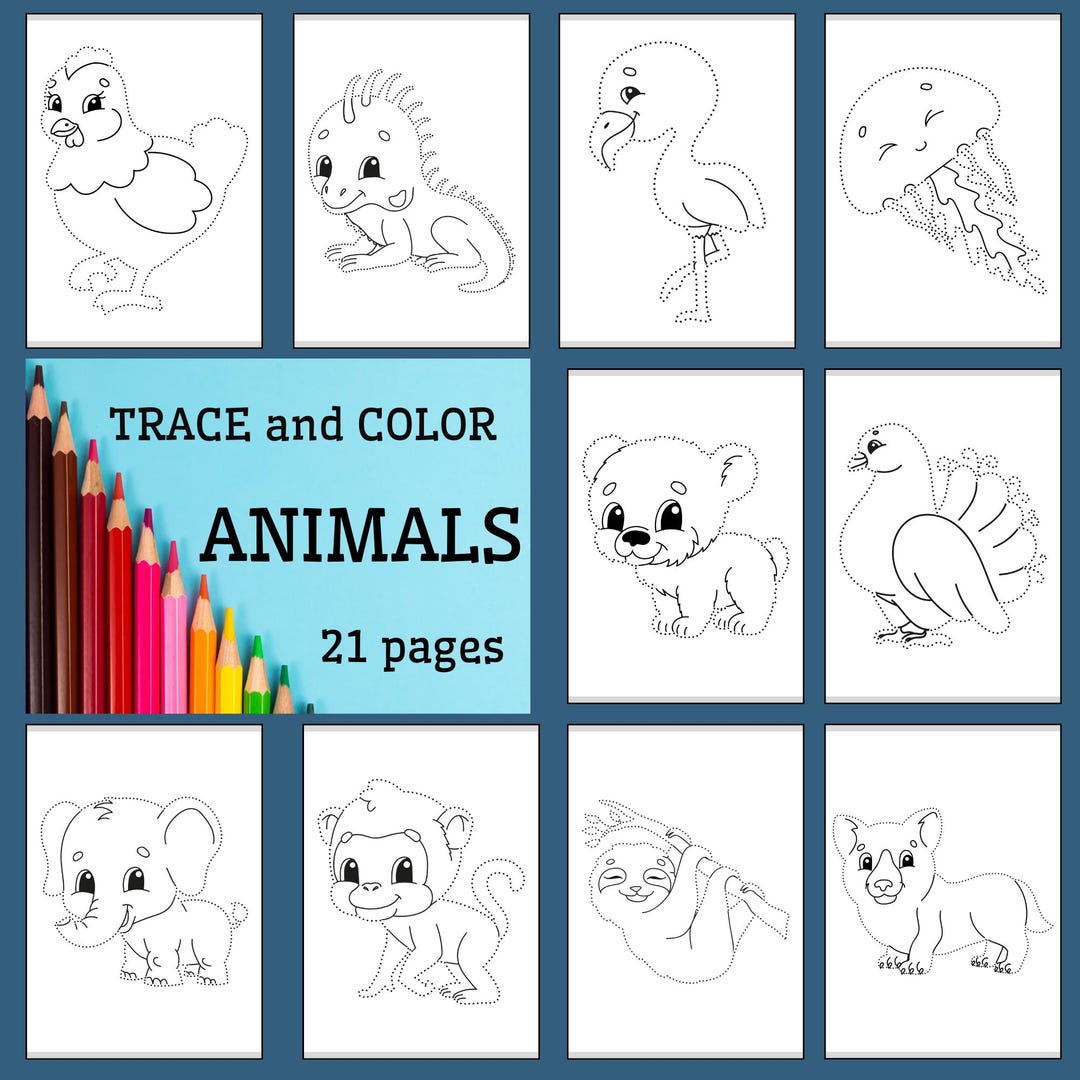 Animal Tracing and Coloring Worksheets for Kids | Printable PDF - Etsy