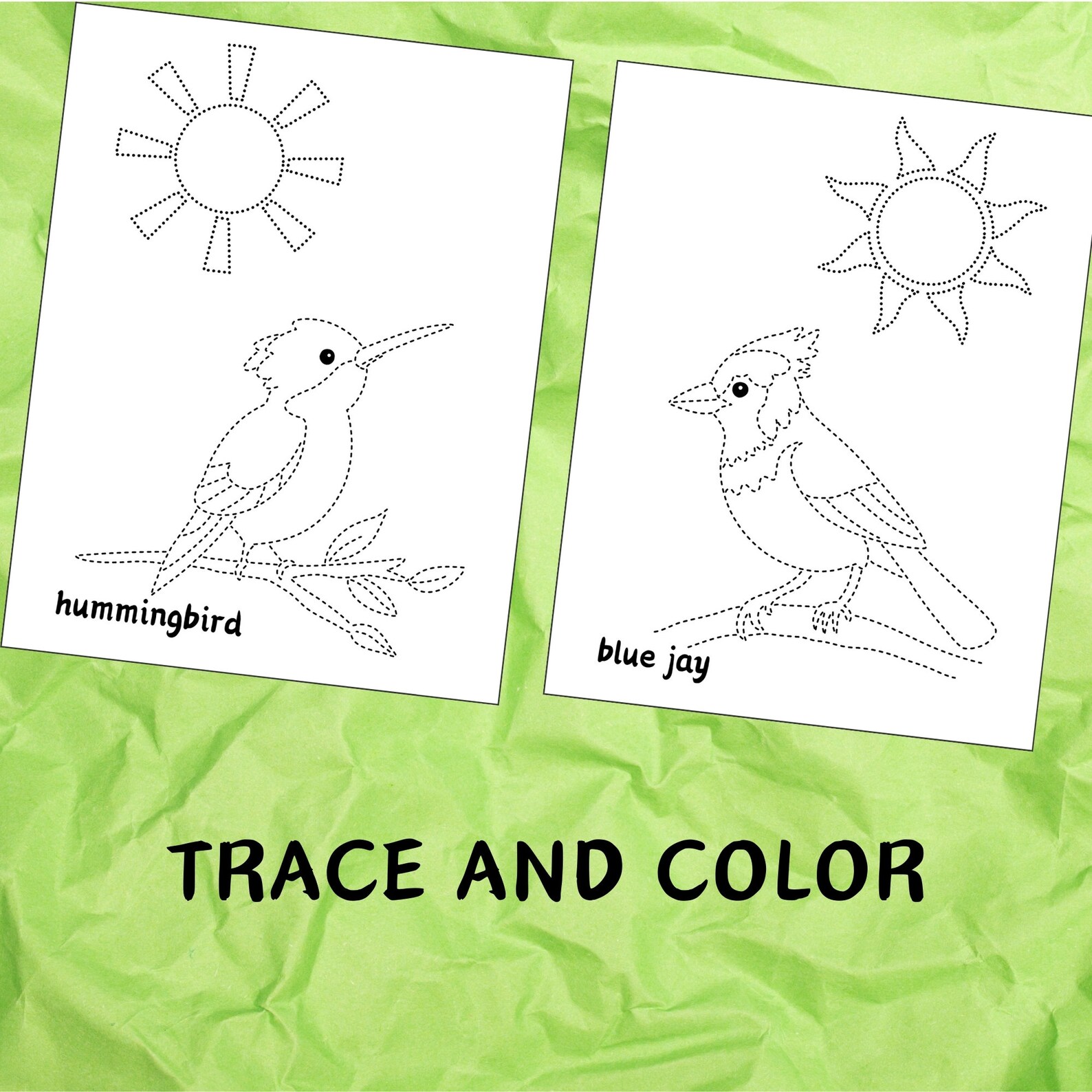 Birds Tracing Printable Toddler Busy Book, Trace the Line, Montessori ...