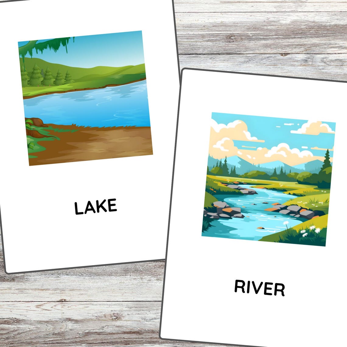 Printable Outdoor Learning Flashcards: Nature Study Cards for Kids - Etsy
