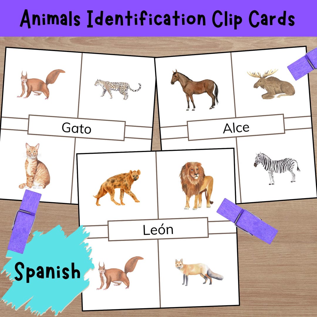 Animals in Spanish Identification Cards - Printable Clip Cards for ...