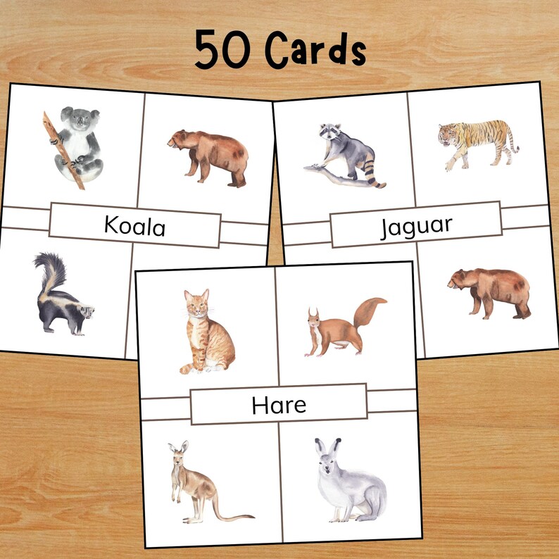 Animal Identification Cards - Printable Clip Cards for Preschool ...