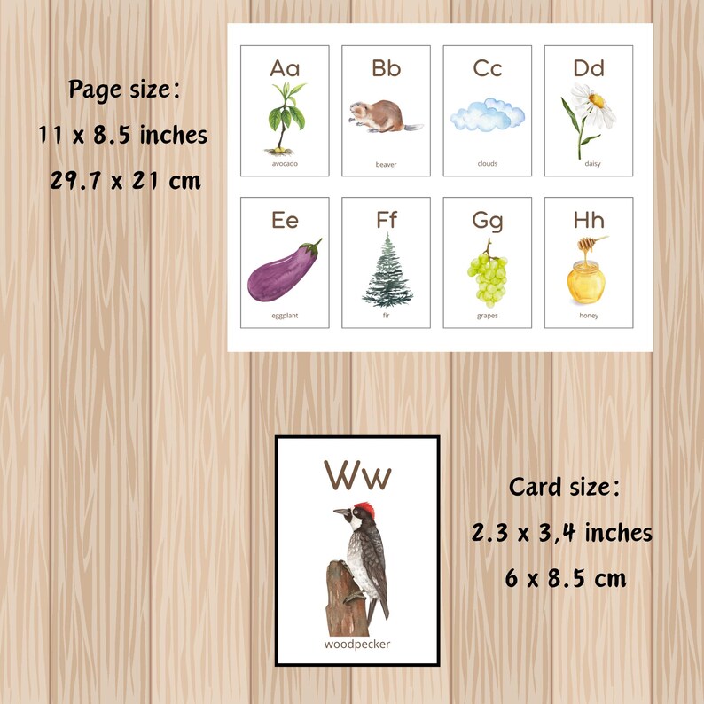 Nature ABC Cards | Printable Alphabet Flashcards for Kids - Etsy