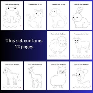 Animal Tracing Pictures for Preschool | Pre-writing Worksheets & Trace ...