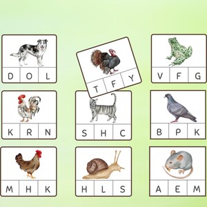Phonics Clip Cards – Farm Animal Beginning Sounds | Alphabet Activity ...