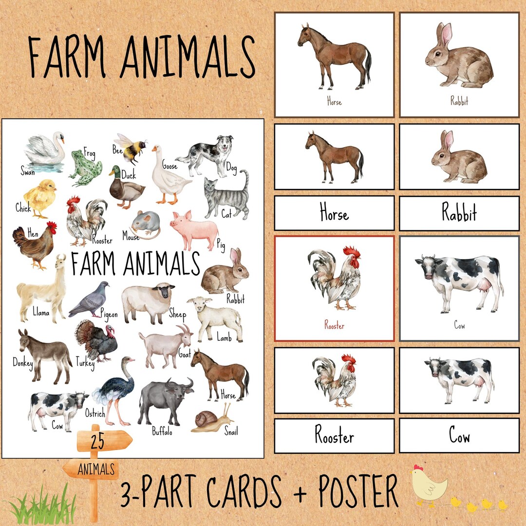 Farm Animal Montessori Printable 3-part Cards and Mini Poster | Toddler ...