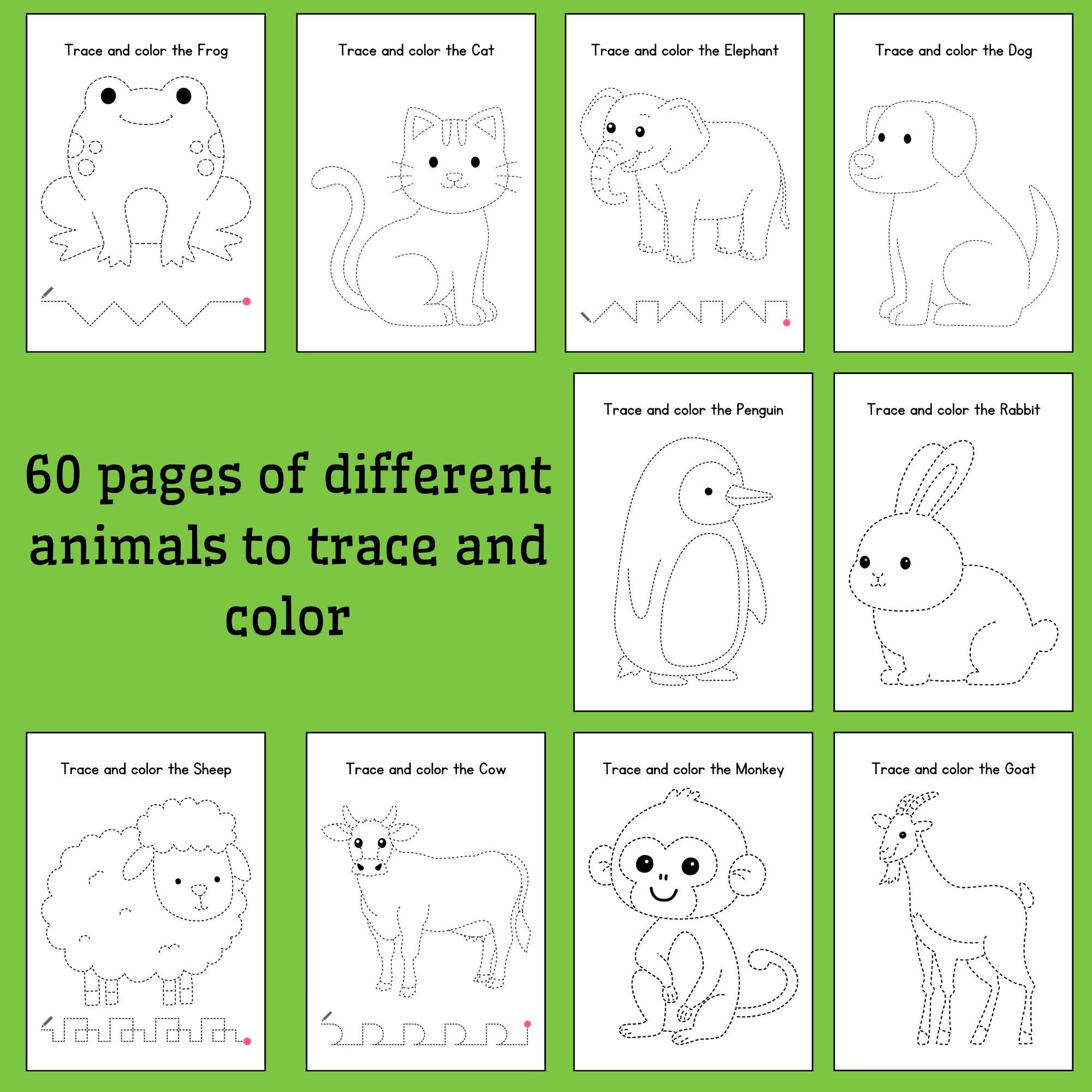 Animal Tracing & Coloring Pages | 60 Printable Worksheets With Line ...