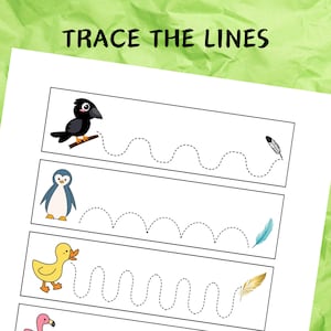 Tracing Worksheets | Birds Printable for Preschool & Toddler Activities ...