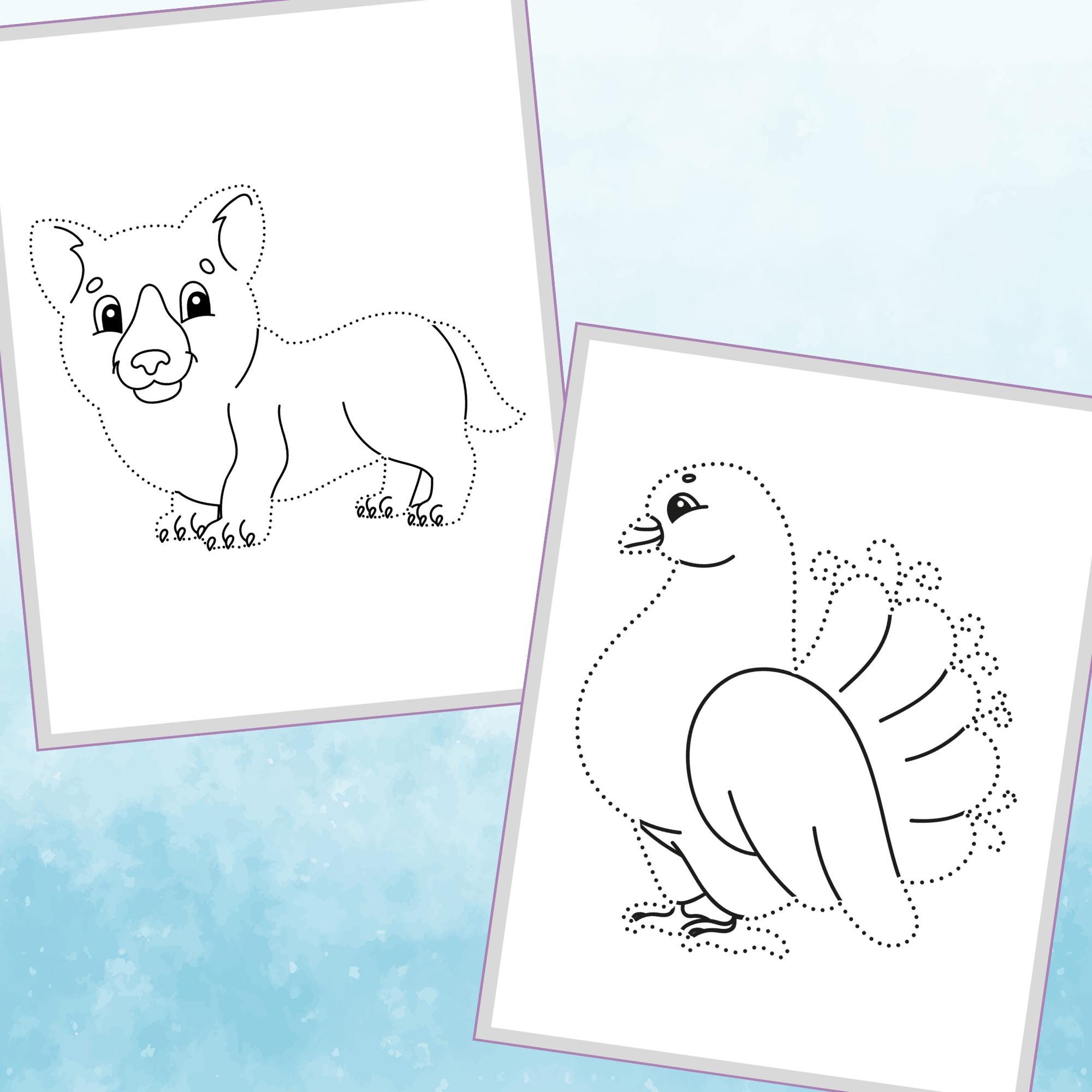 Animals Preschool Tracing Worksheets, Toddler Trace and Color ...