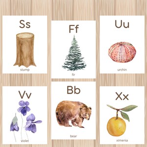Nature Alphabet Flashcards | Montessori-inspired ABC Cards for Kids ...