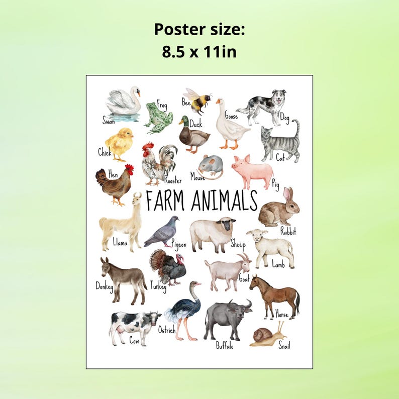 Initial Sound Clip Cards, Farm Animal Flashcards and Poster, Preschool ...