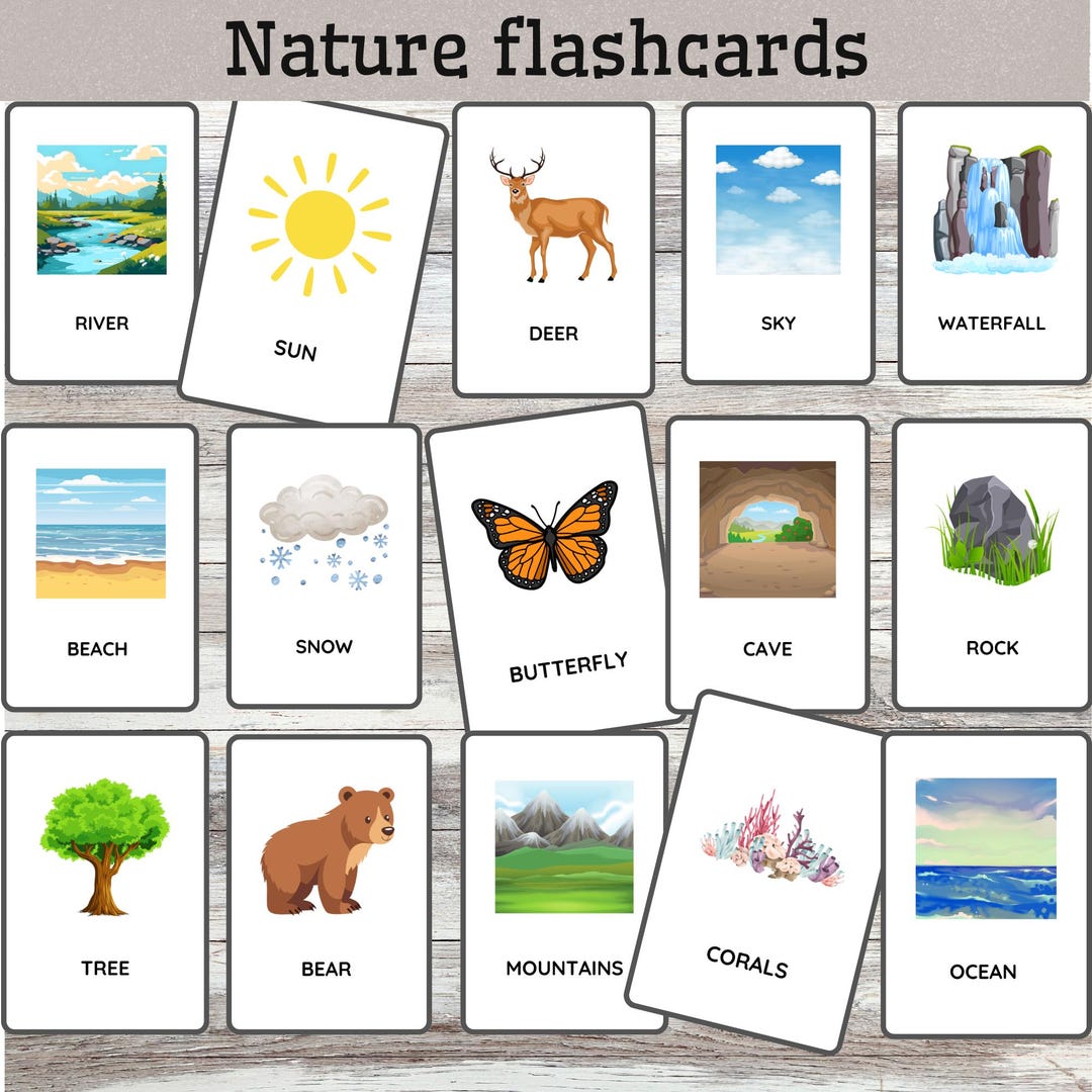 Printable Nature Flashcards for Kids | Early Learning Vocabulary Cards ...