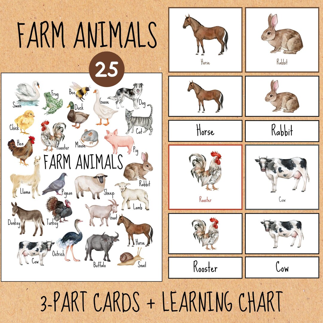 Montessori Farm Animal Cards | 3-part Learning Set Printable ...