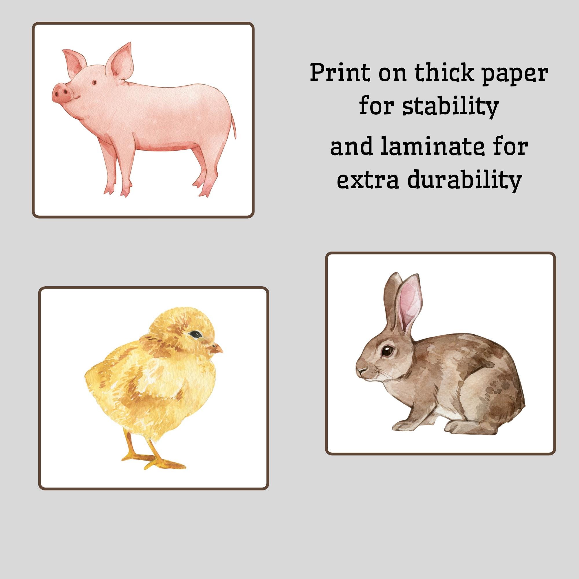 Farm Animal Memory Card Game | Preschool Activities | Toddler Learning ...